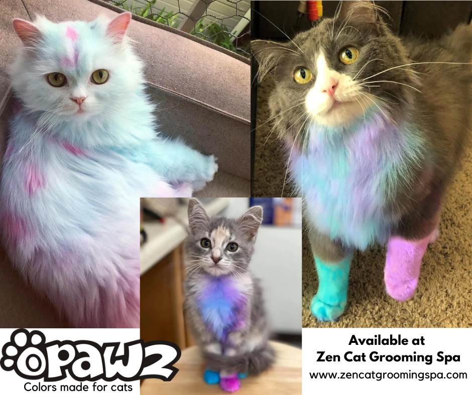 Services & Rates for Cat Grooming - Zen Cat Grooming Spa